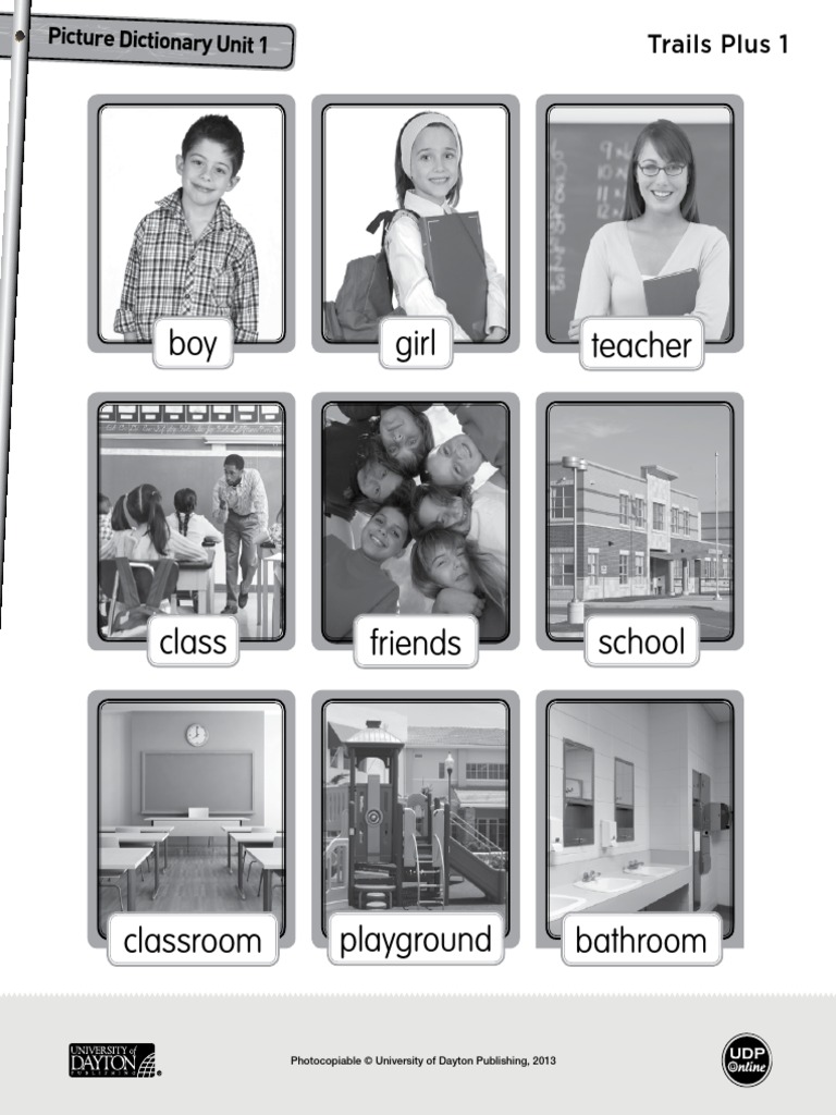 Picture Dictionary | PDF