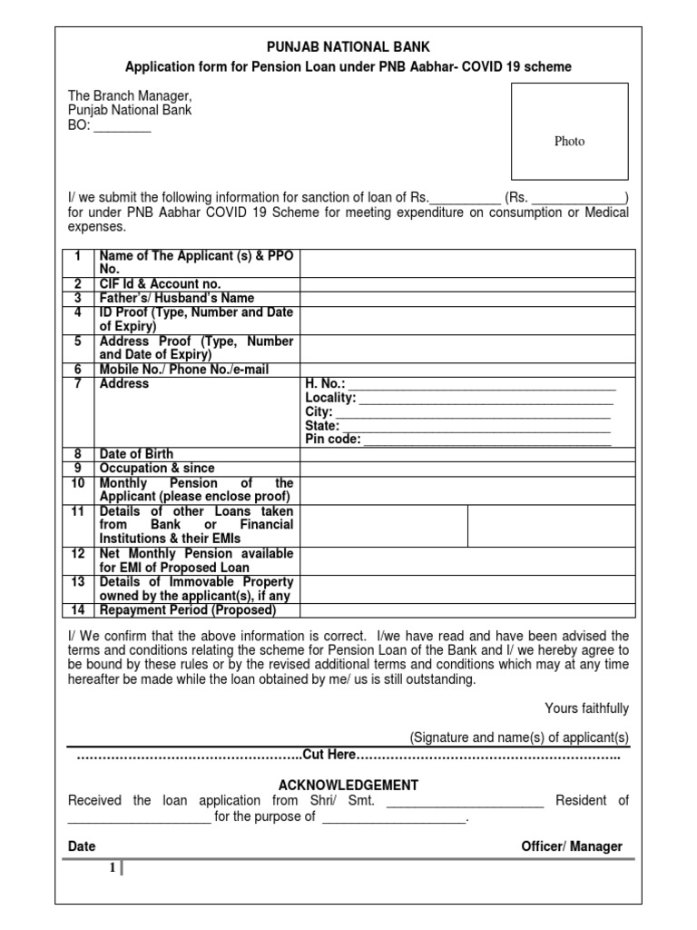 Loan Application Form - PNB Aabhar Rin Covid 19 PDF | PDF | Loans ...