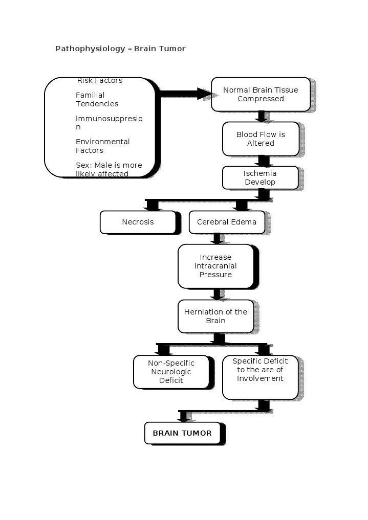 Brain Tumor Pathophysiology Overview | PDF