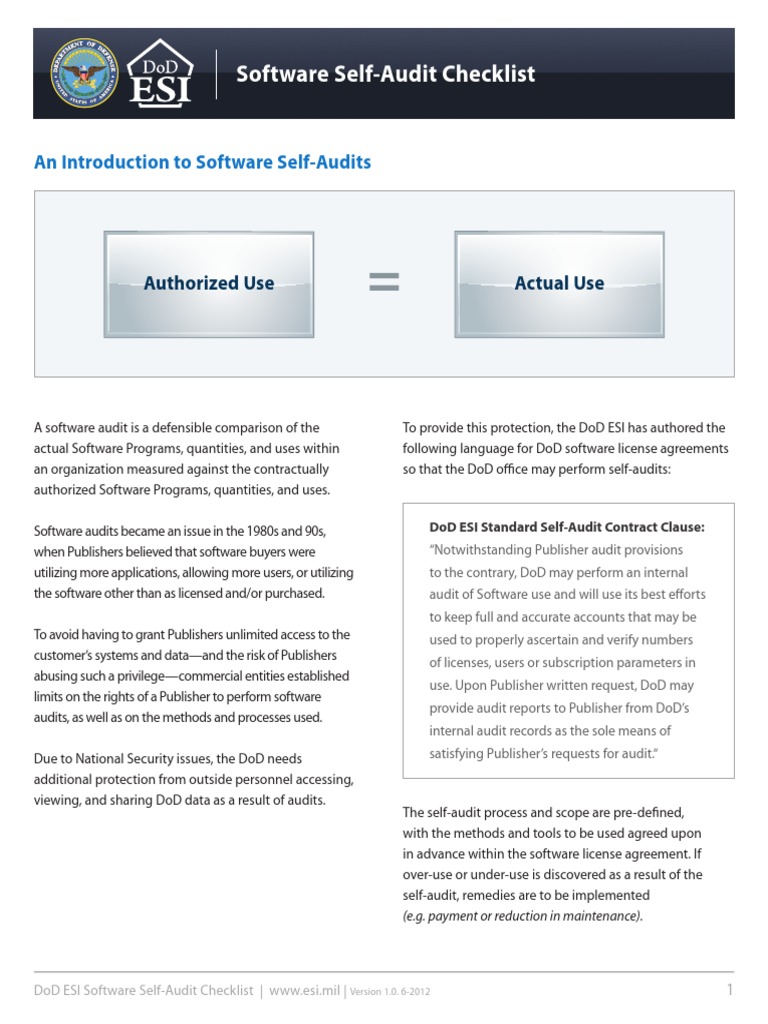 DoD ESI Software Self-Audit Guide | PDF