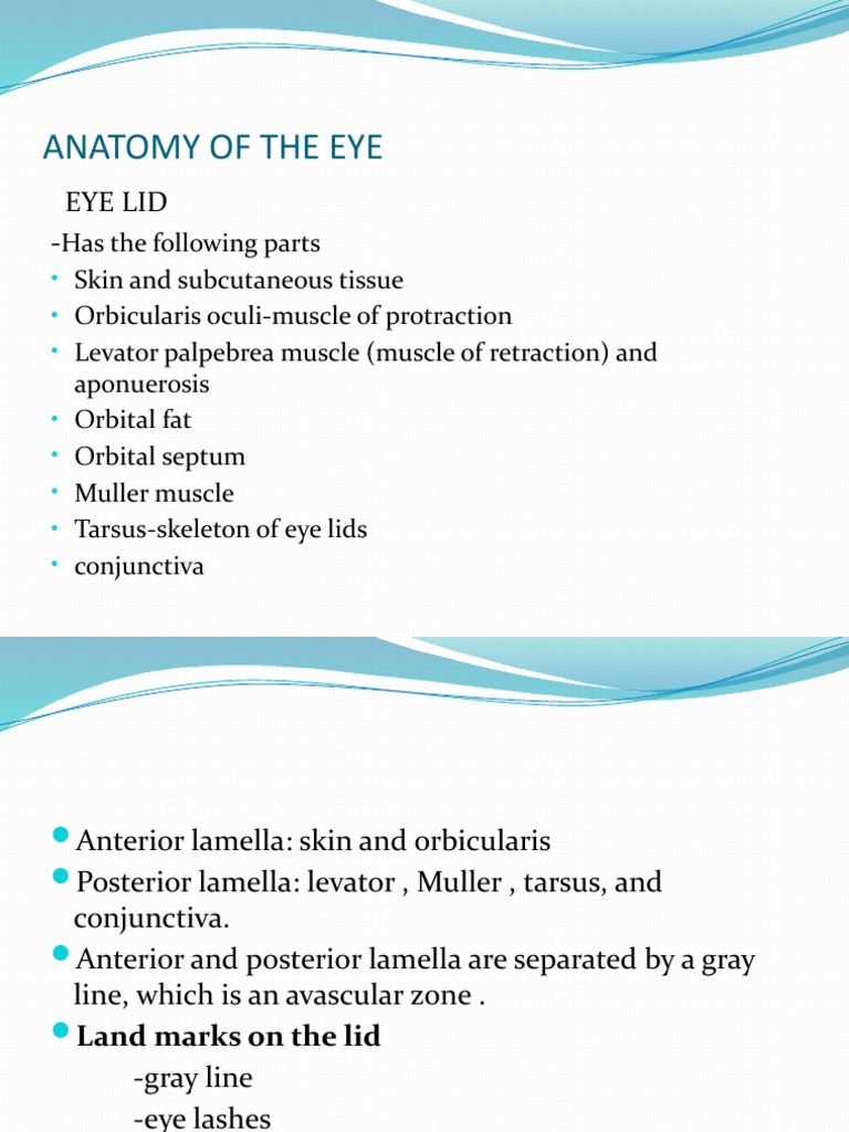 Anatomy of OPHTHALMOLOGY | PDF | Cornea | Epithelium