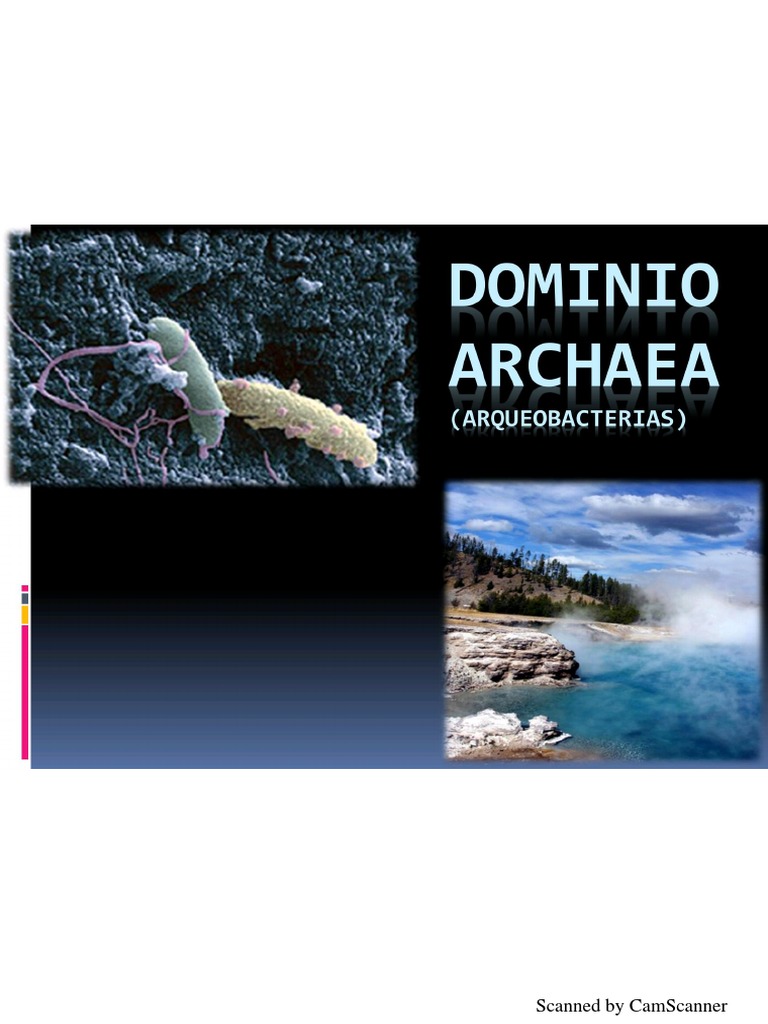 Dominio Archaea PDF | PDF