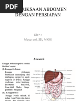 Prosedur Rontgen Abdomen 3 Posisi | PDF