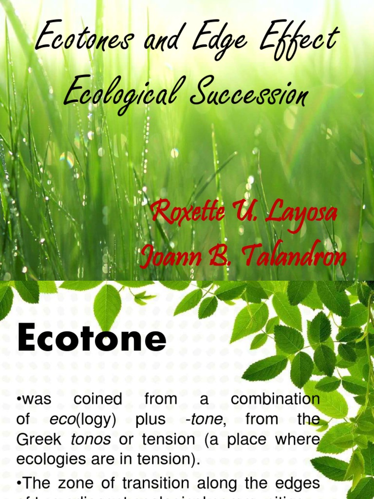 2.2 Ecotones and Edge Effect, Ecological Succession | Download Free PDF ...