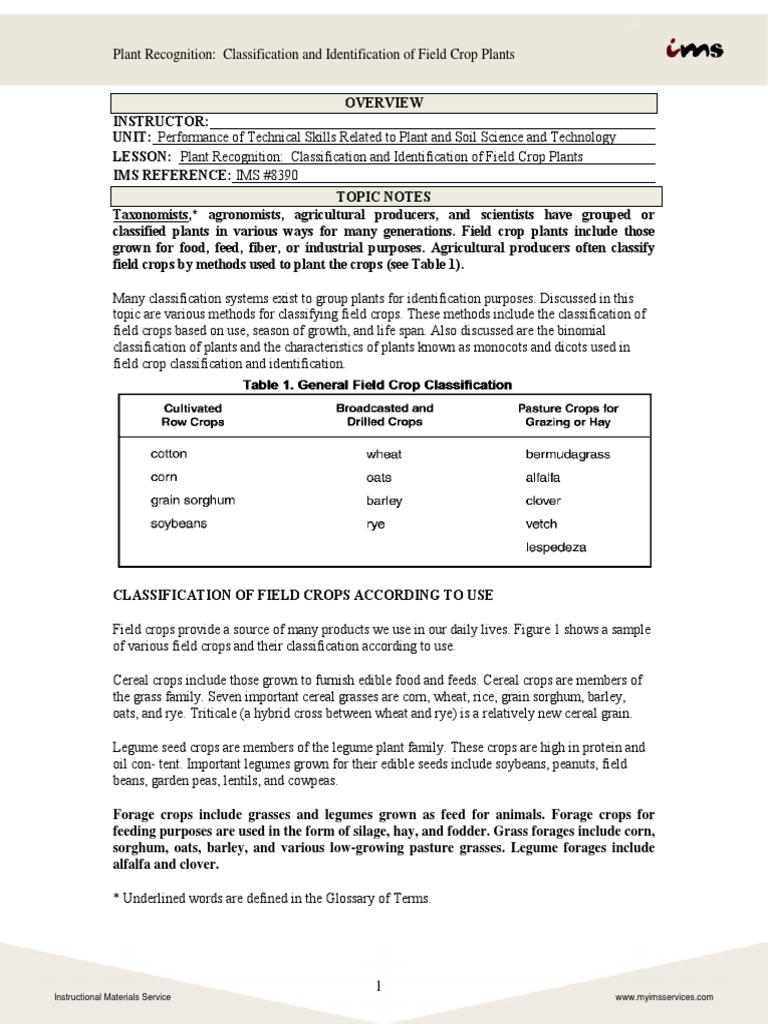 Plant Recognition Guide for Field Crop Identification | PDF | Leaf ...