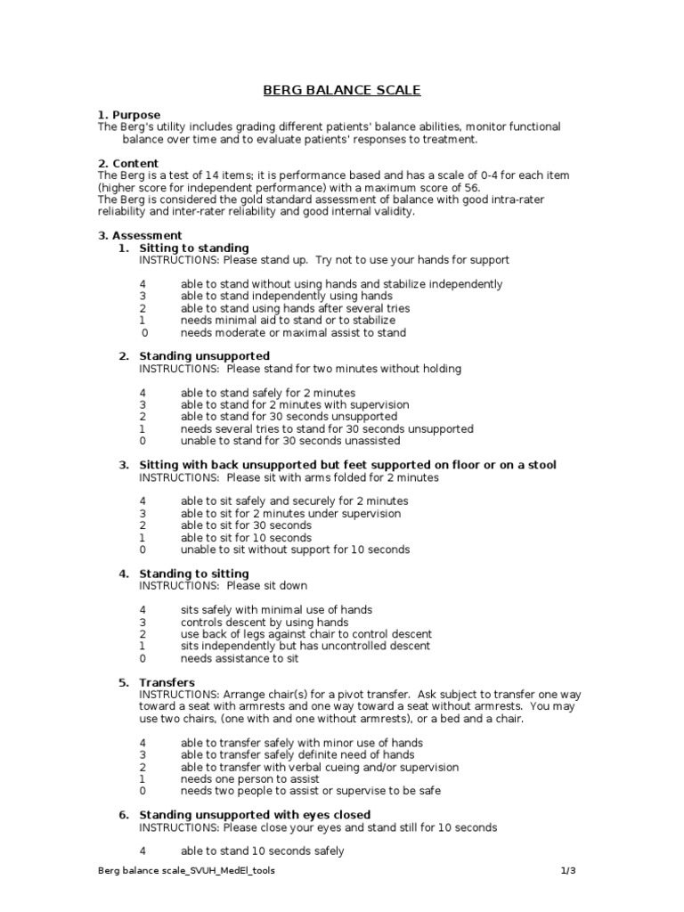 Berg Balance Scale Form