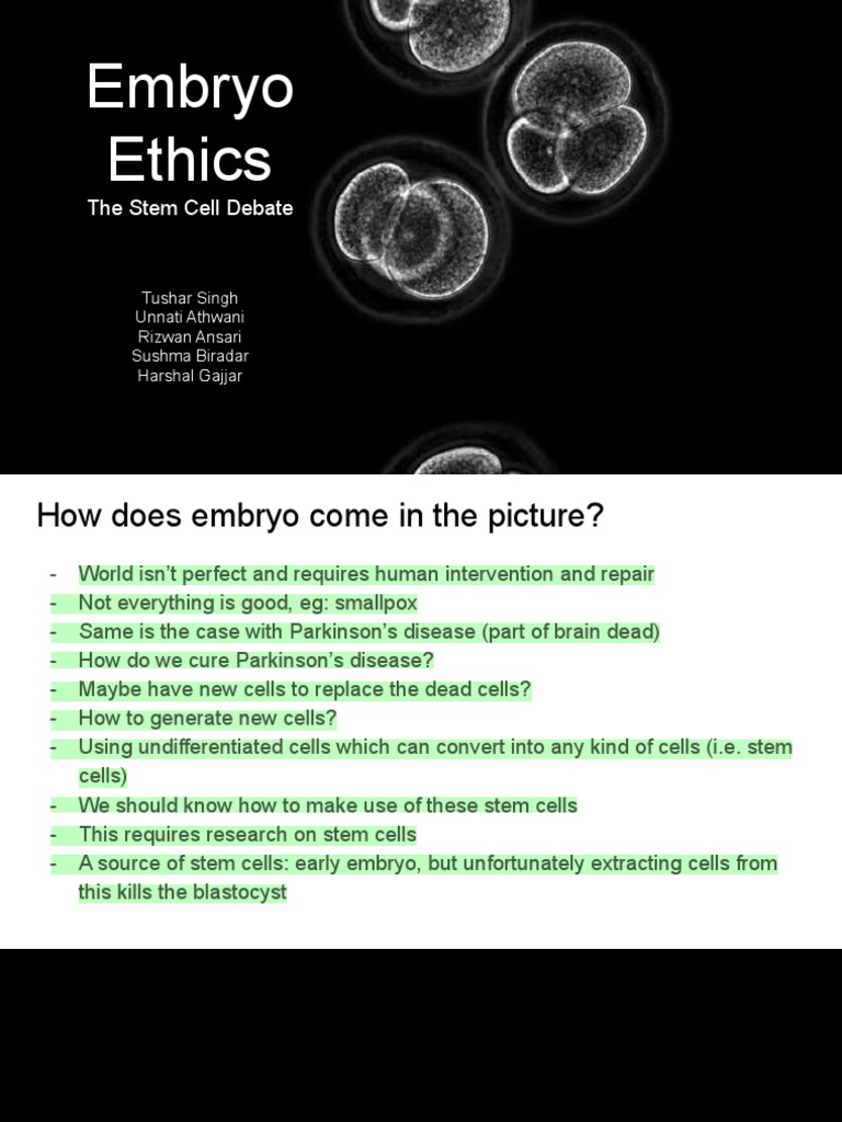 Embryonic Stem Cell Research Ethics | PDF | In Vitro Fertilisation ...