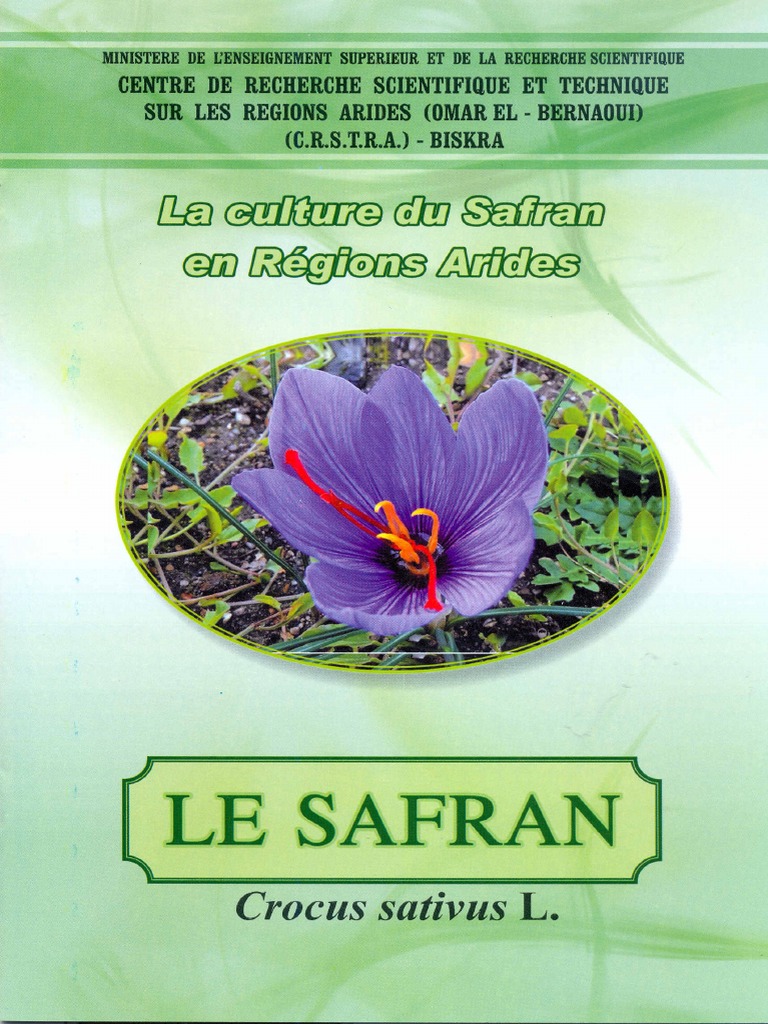 Safran | PDF