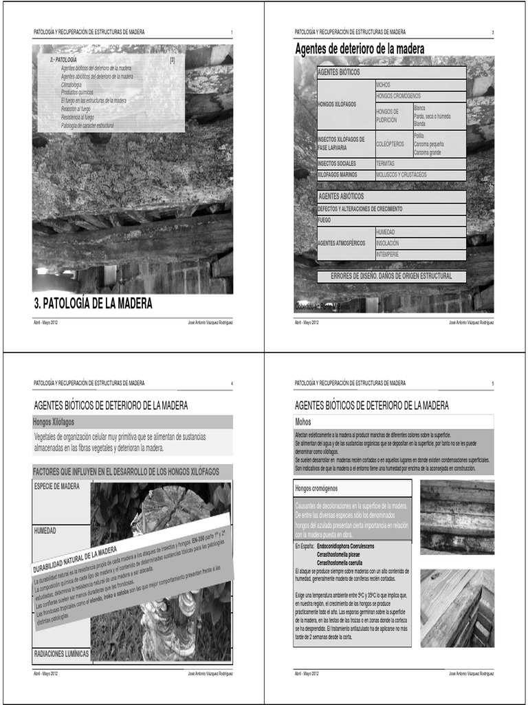 Patologías en Estructuras de Madera | PDF | Madera | Arboles
