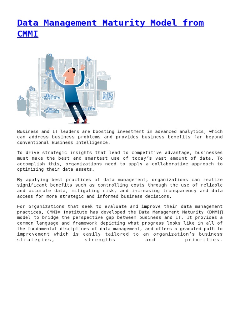 DMM Maturity Model | PDF | Analytics | Risk