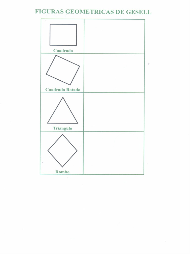 Test Gesell - Laminas | PDF