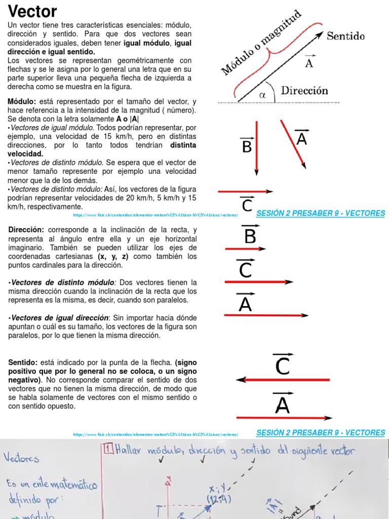 Vectores PDF | PDF