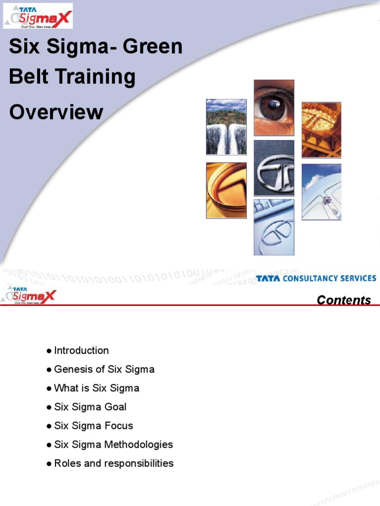 Six Sigma - Overview | PDF | Six Sigma | Business