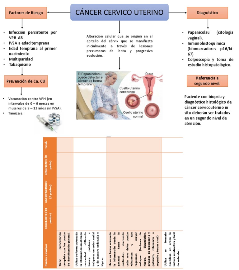 Cáncer Cervico Uterino Mapa Mental | PDF