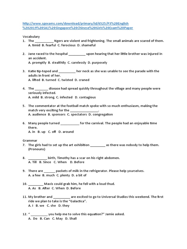 P3 English Exam Vocabulary & Grammar | PDF