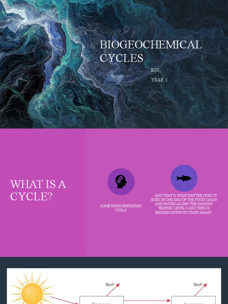 Biogeochemical Cycles: ESS Year 1 | PDF | Carbon Cycle | Nitrogen