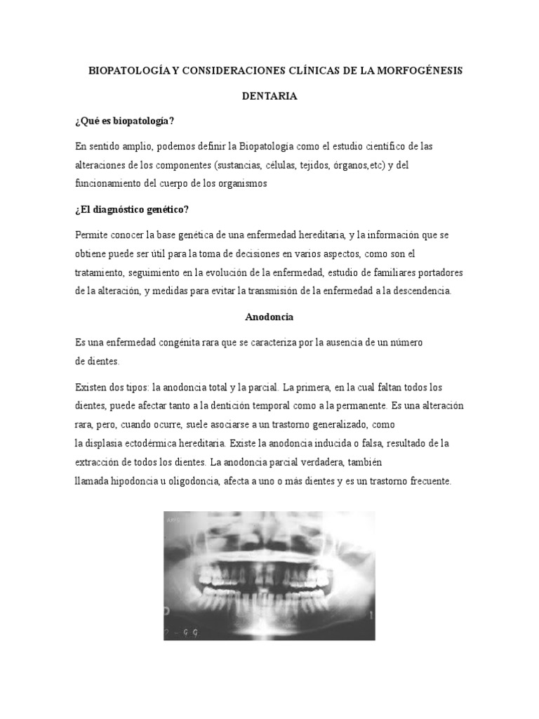 Biopatología y Consideraciones Clínicas de La Morfogénesis Dentaria ...