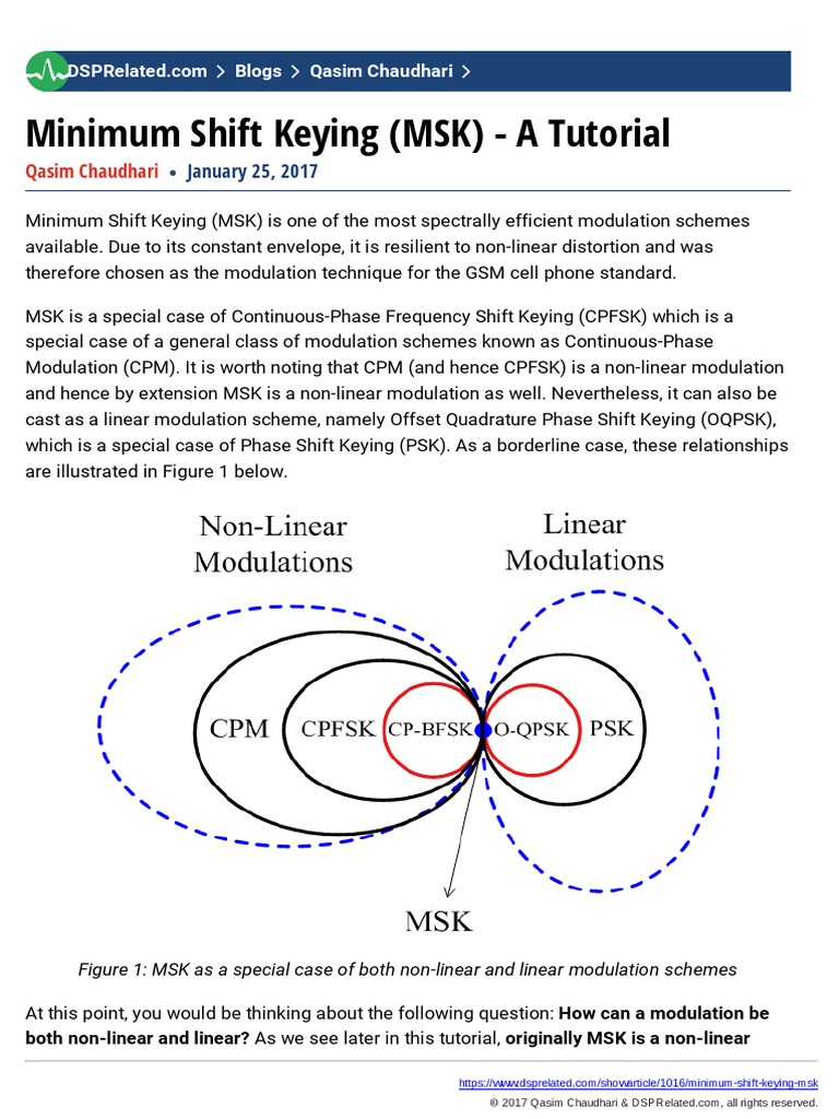 Understanding MSK PDF | PDF