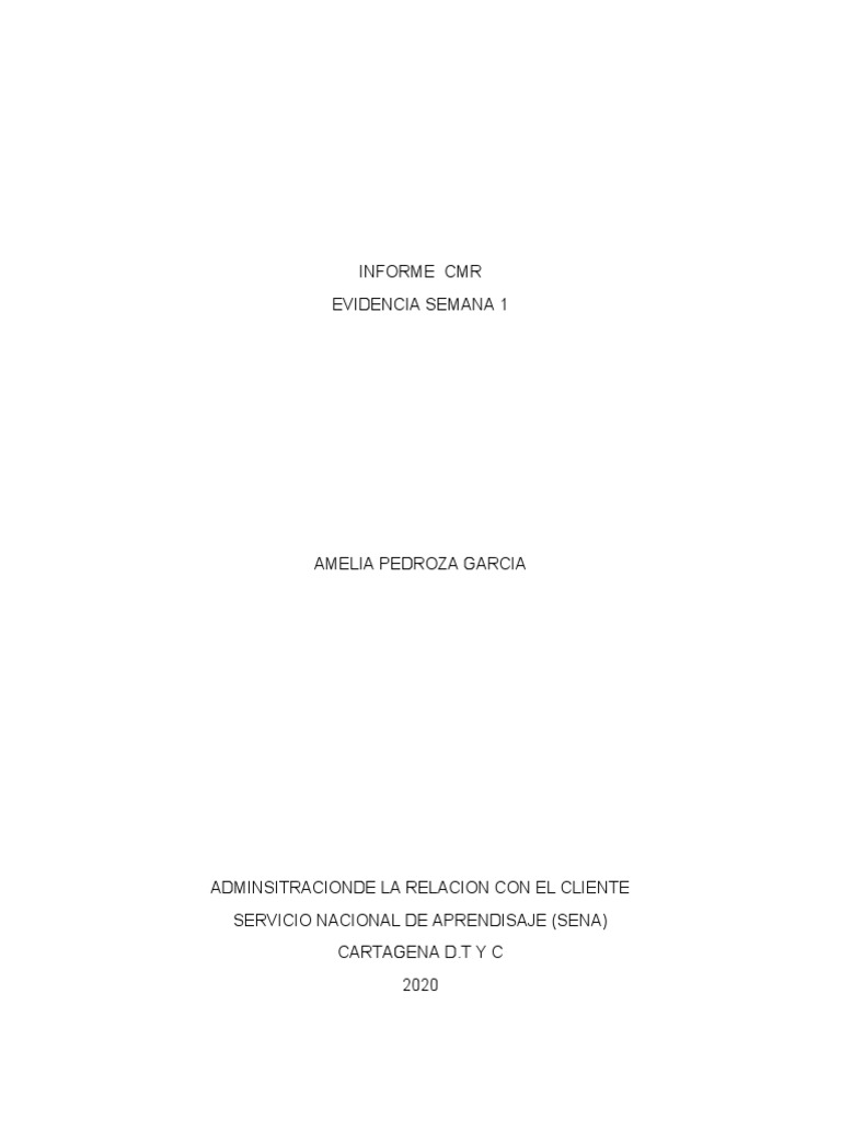 CMR y Su Aplicación | PDF | Marketing | Informática