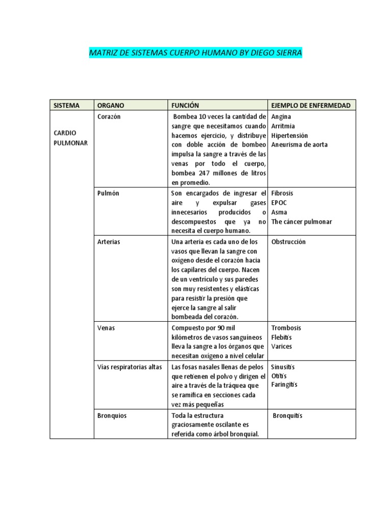 Matriz de Sistemas Cuerpo Humano | PDF | Digestión | Sistema nervioso