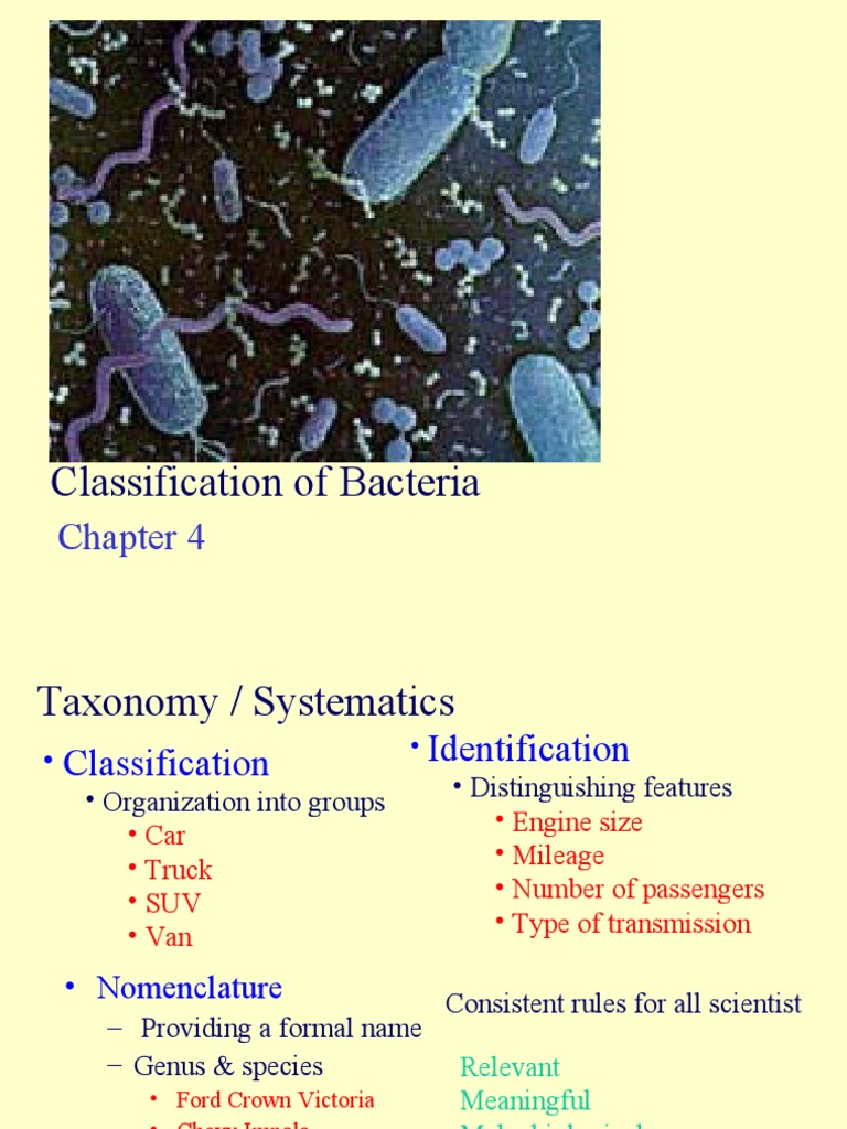 Classification of Bacteria