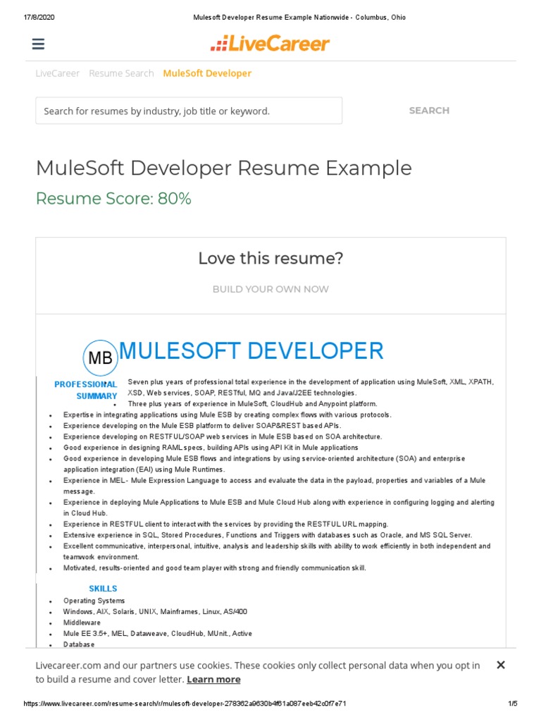 Mulesoft Developer Resume Example Nationwide - Columbus, Ohio | PDF | Web Service | Java Servlet