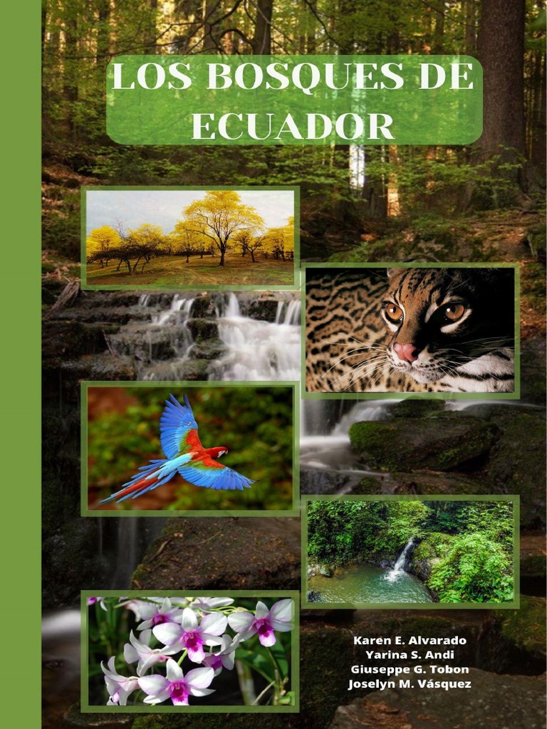 Los Bosques de Ecuador - Libro | PDF | Deforestación | Los bosques
