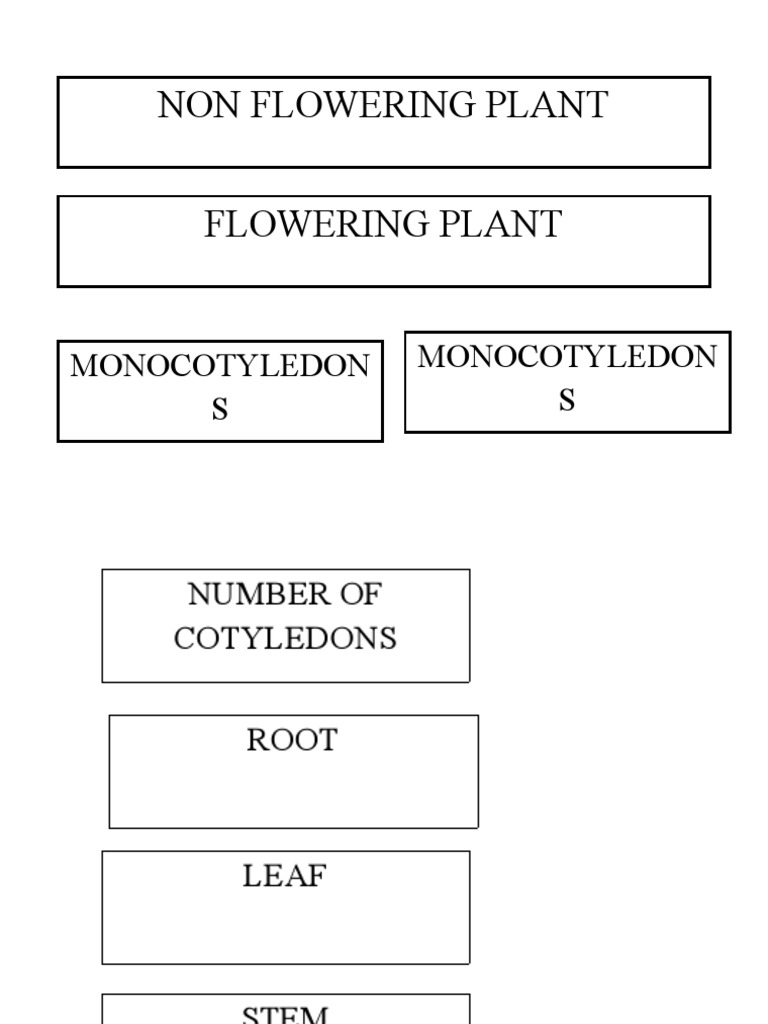 Classification of Plant Form 2 | PDF