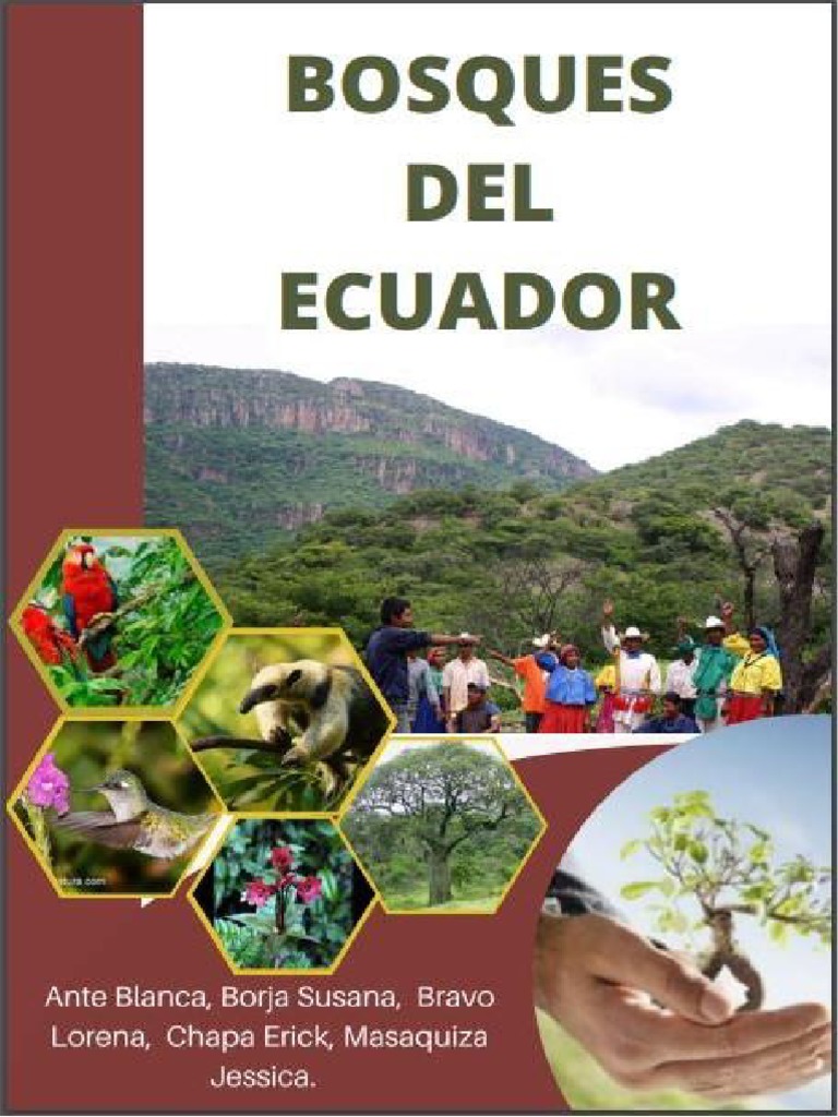 Libro Bosques Del Ecuador | PDF | Biodiversidad | Los bosques