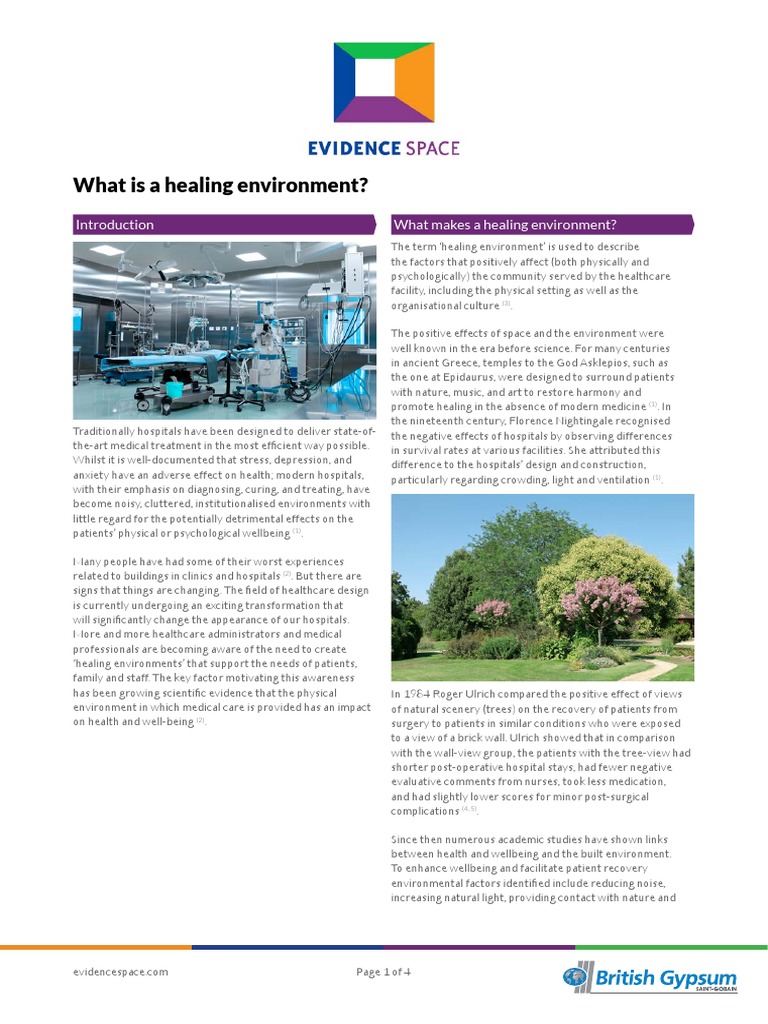 Healing Environment PDF | PDF | Medicine | Health Sciences
