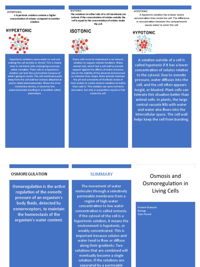 Final Osmosis | Download Free PDF | Osmosis | Anatomy