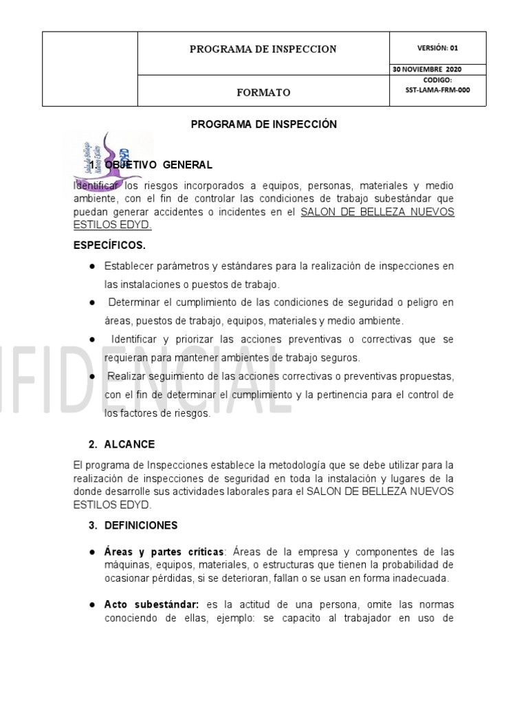24.programa de Inspeccion | PDF | Riesgo | Science