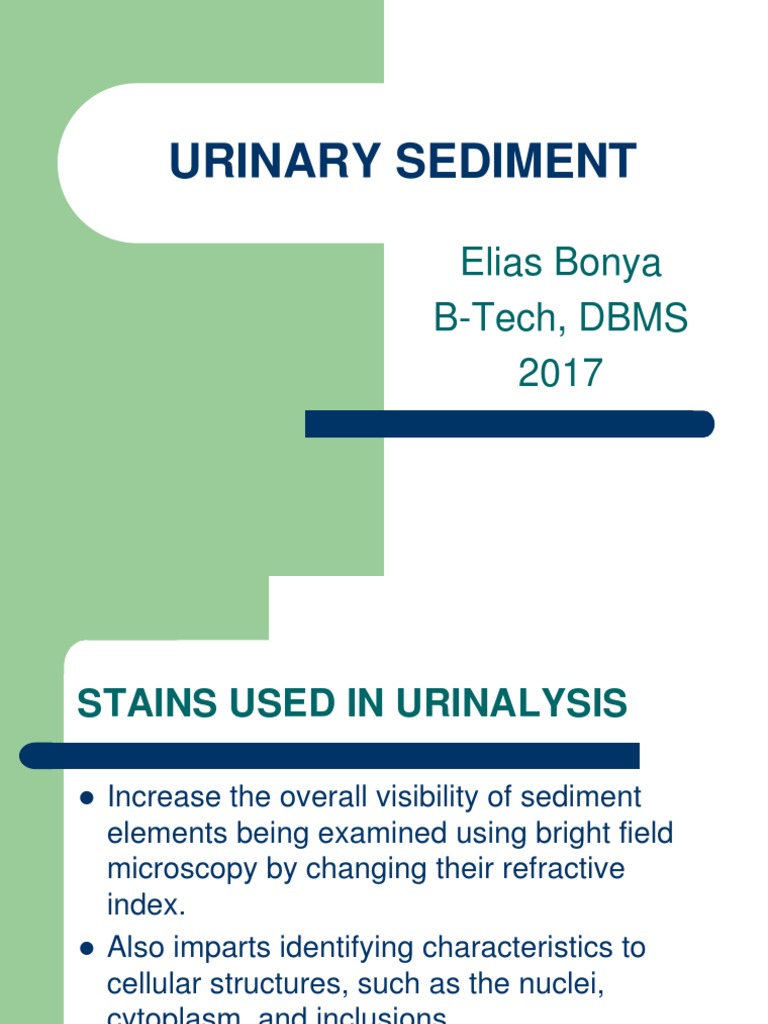 Urinary Sediment Stains in Analysis | PDF | White Blood Cell | Staining