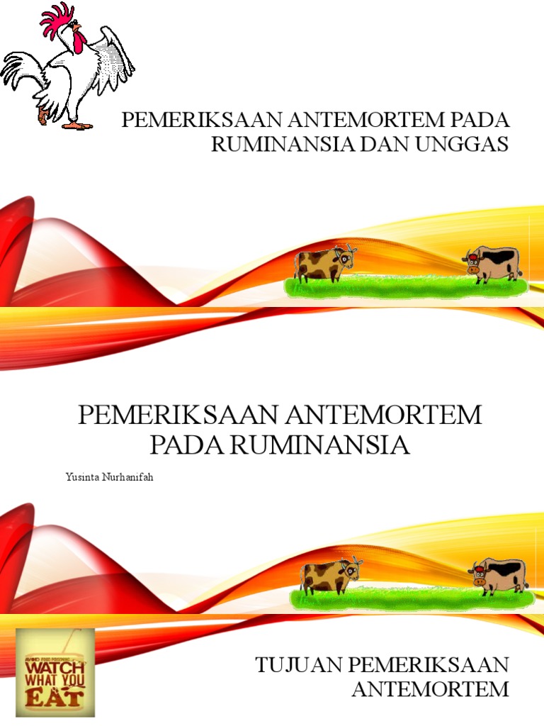 PEMERIKSAAN ANTEMORTEM | PDF
