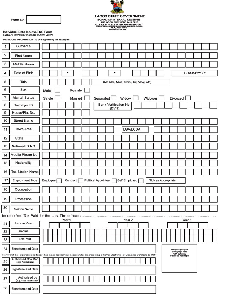 Lagos State Government: Individual Data Input e-TCC Form | PDF | Taxes ...