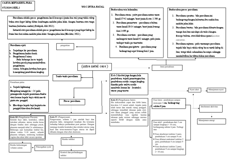 Cahya M. Fara-Woc Intranatal | PDF