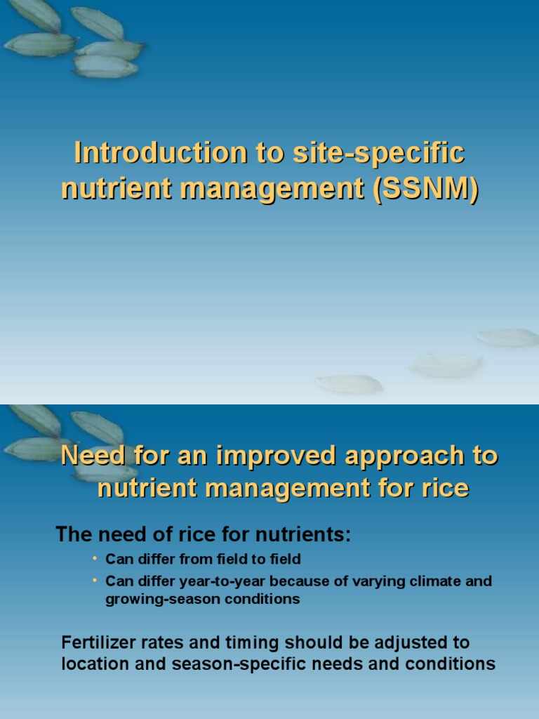 Site Specific Nutrient Management | PDF | Fertilizer | Rice