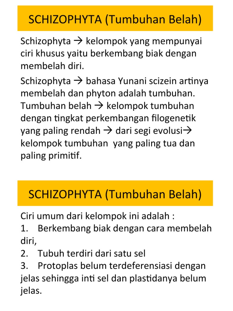 Ciri dan Klasifikasi Schizophyta | PDF