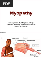 Muscle Length Test | PDF | Anatomical Terms Of Motion | Elbow