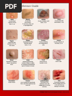 STAR Skin Tear Tool 04022010 | PDF | Skin | Wound