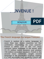 French Language Basics for Beginners | PDF | Grammatical Gender | Philology