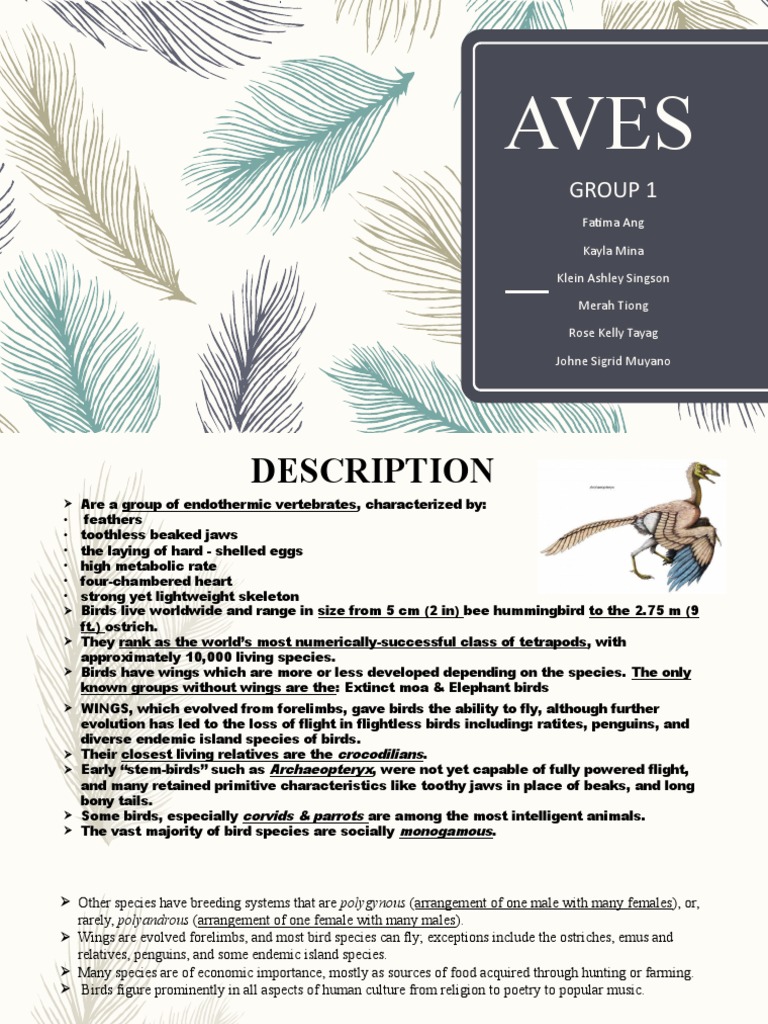 Group 1: Fatima Ang Kayla Mina Klein Ashley Singson Merah Tiong Rose ...