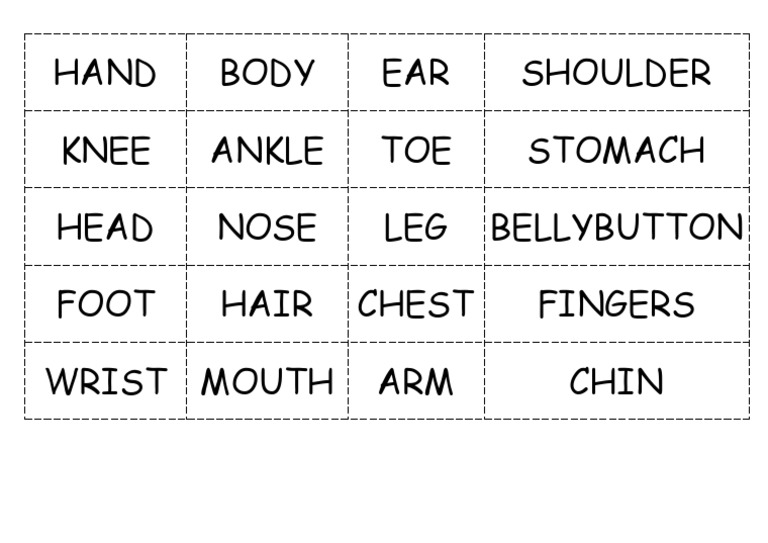 20 Parts of The Body | PDF