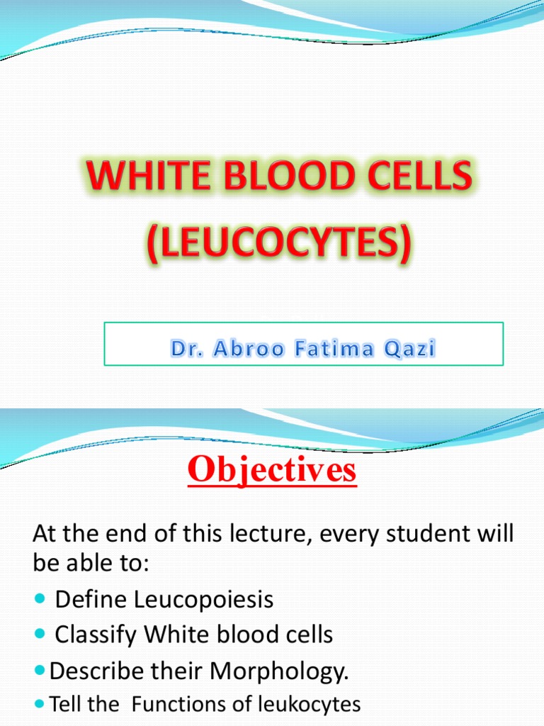 Functions and Classification of WBCs | PDF | Granulocyte | White Blood Cell