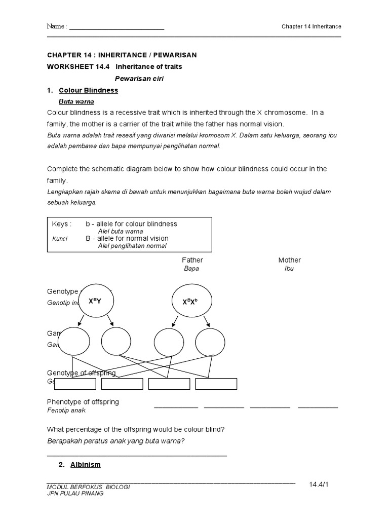 WORKSHEET 14.4 Inheritance of Traits | PDF | Genotype | Allele