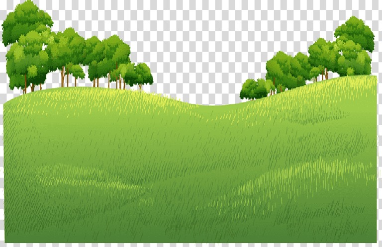 Rumput Full | PDF