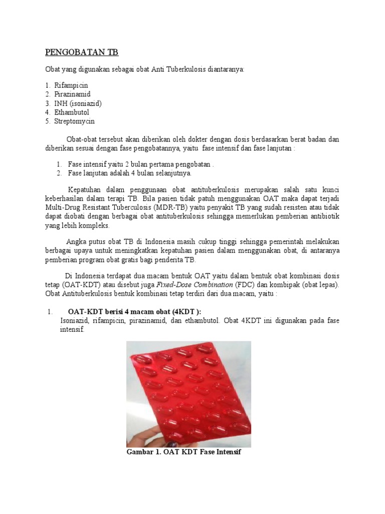 Panduan OAT KDT untuk Pengobatan TB | PDF | Pengembangan Diri ...
