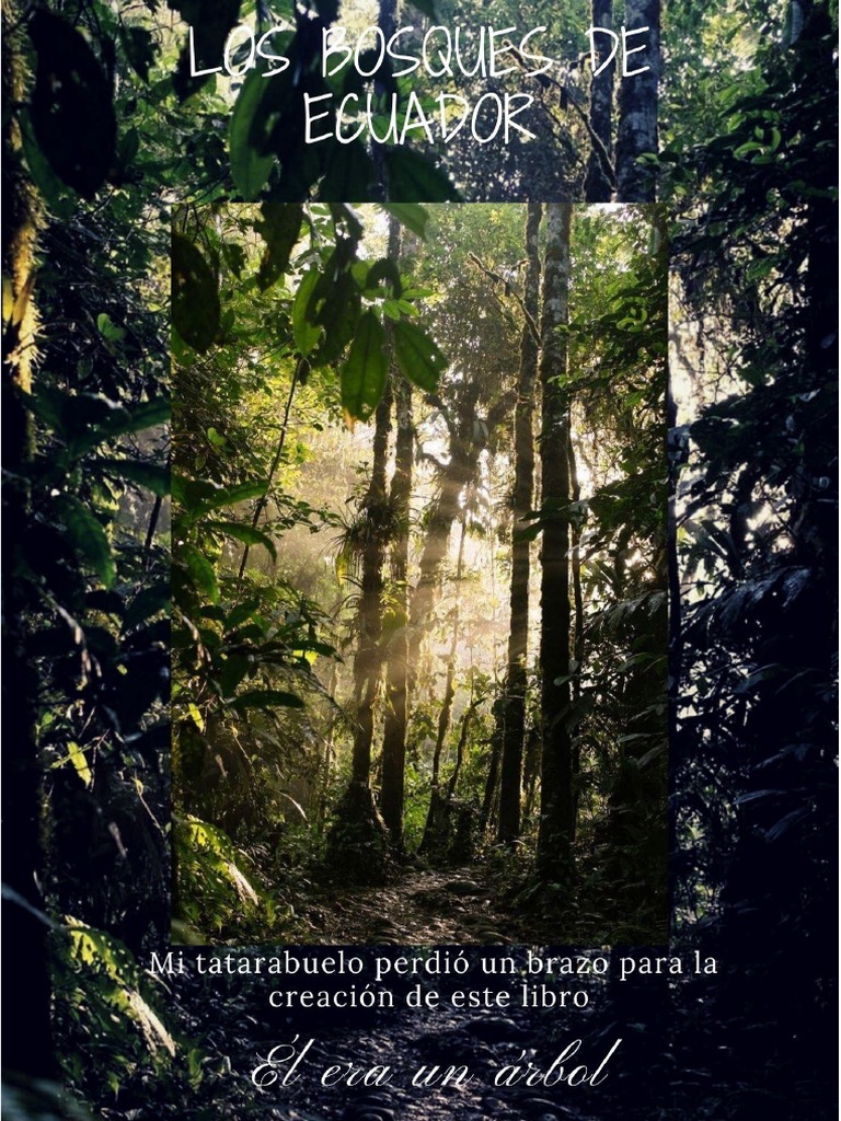 Libro Bosques Del Ecuador | PDF | Deforestación | Los bosques