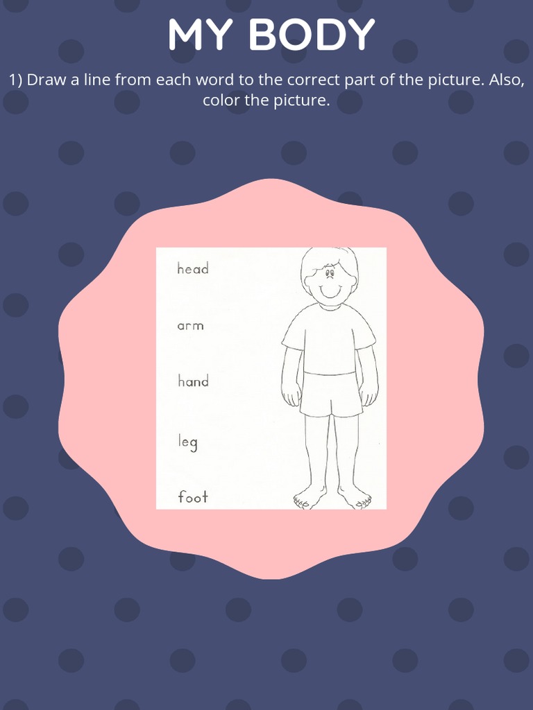 Body Parts Identification Activity | PDF