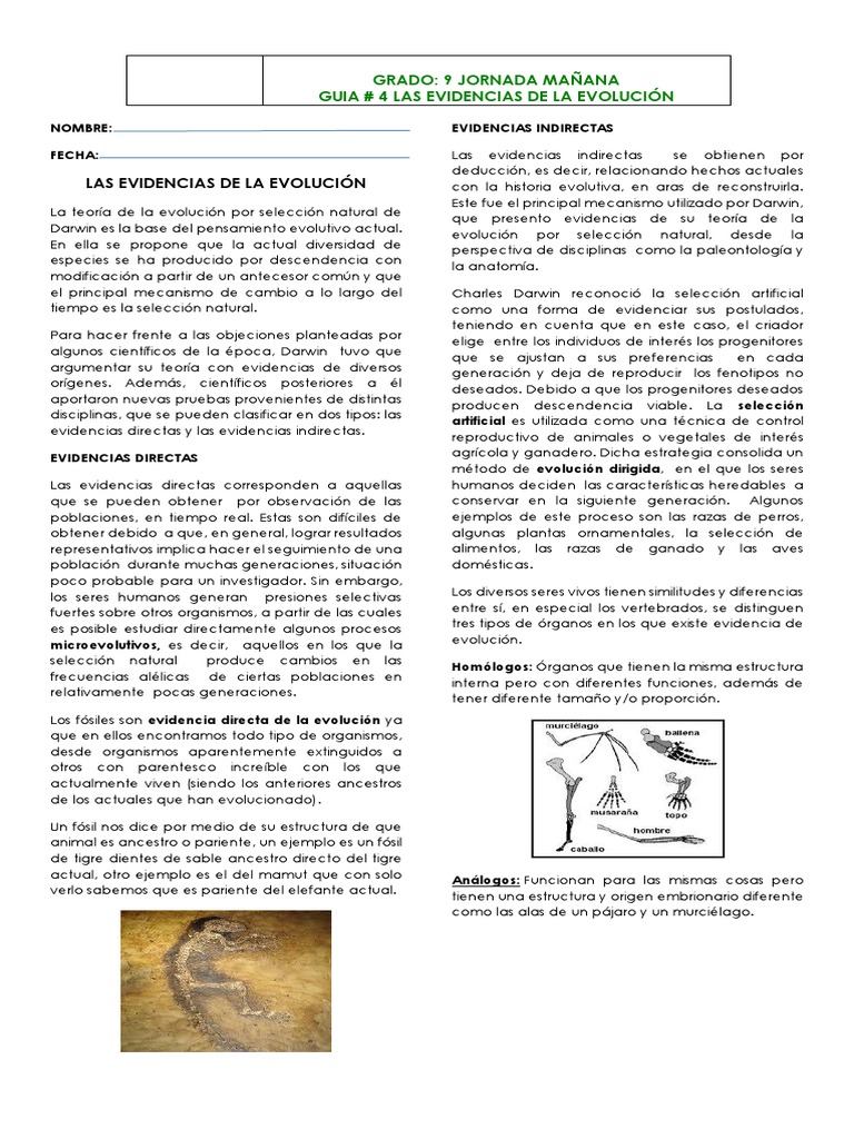 Guia # 4 Evidencias de La Evolucion | PDF | Seleccion natural | Evolución